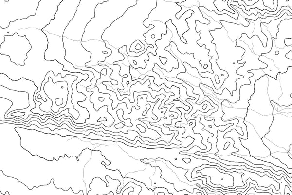 Joshua Tree Topographic Map Art – Modern Map Art